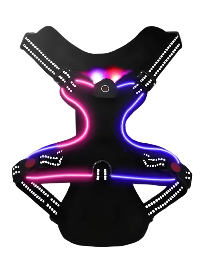 purchase your LED Harness here – PredatorBWear